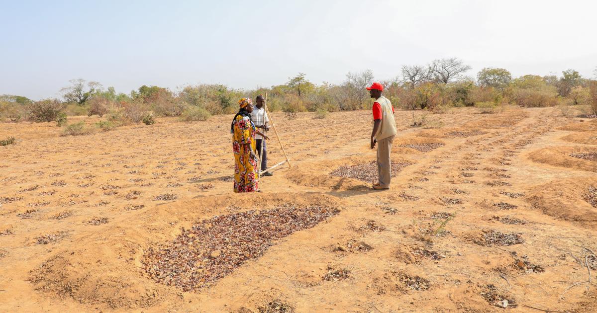 Justice, climat et stabilité au Sahel : série « Preuves et enseignements